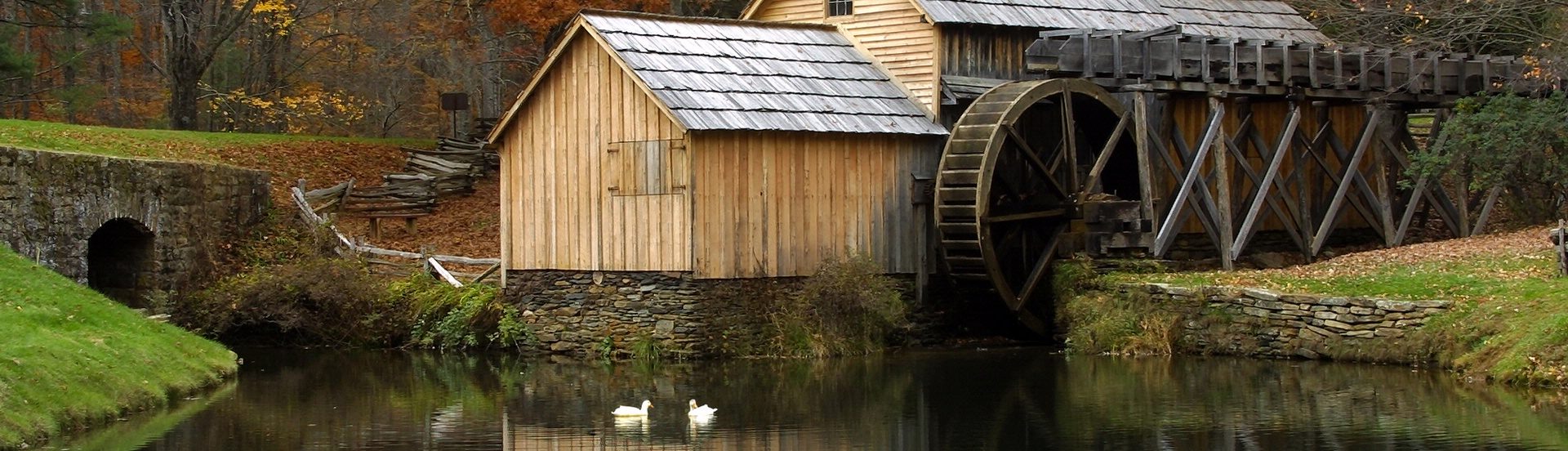 NATGA – North American Truffle Growers Association