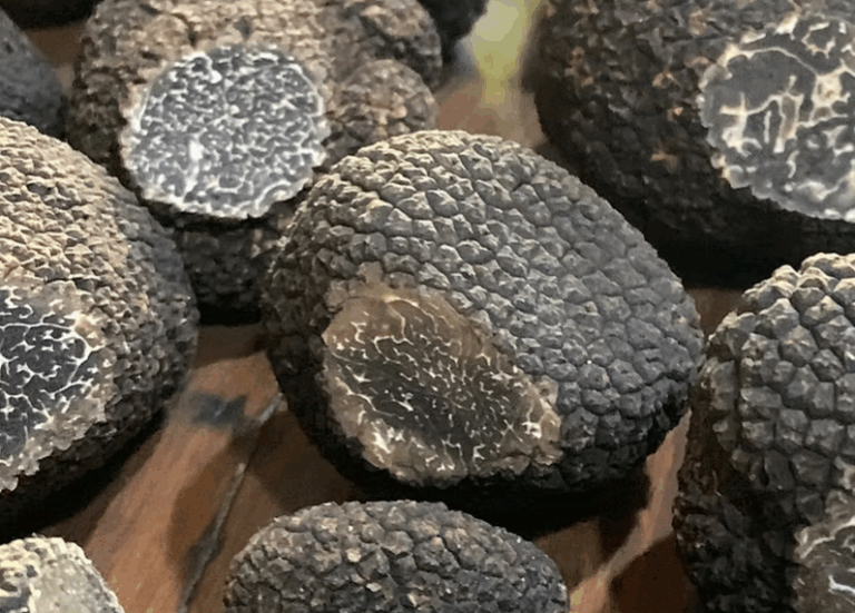 About Truffles - NATGA
